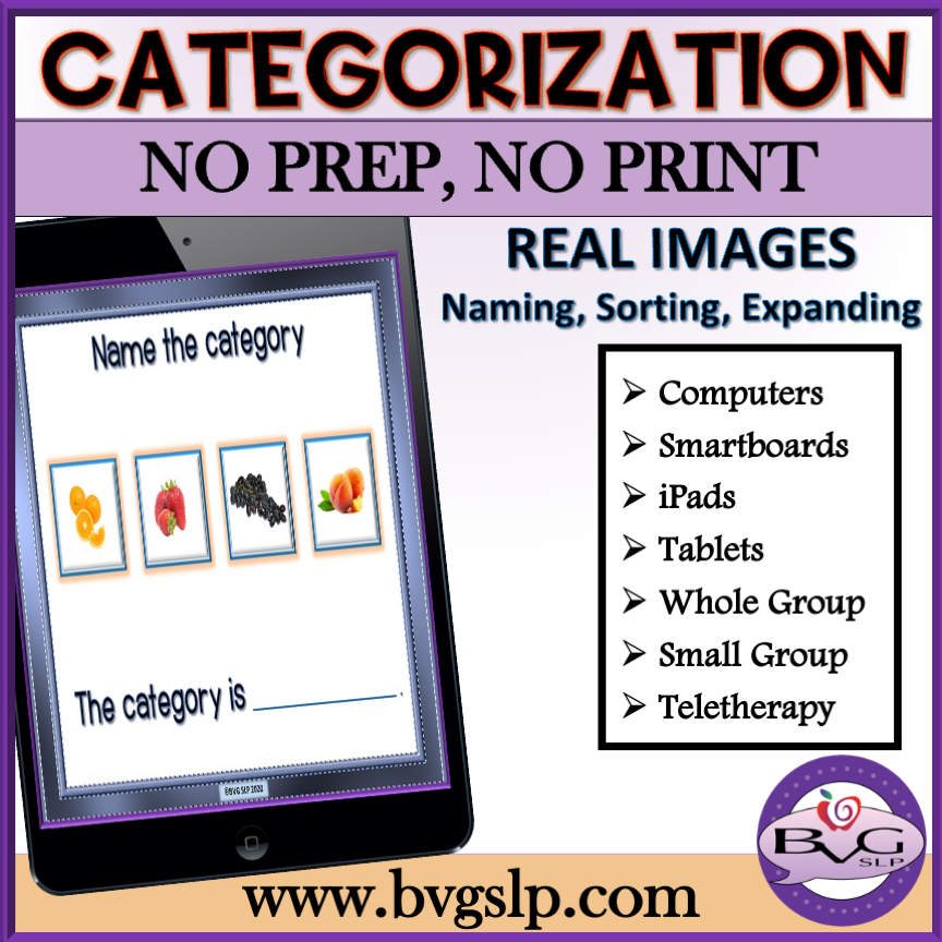 Digital Categorization Real Images BOOM CARDS - BVG SLP